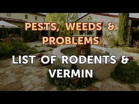 List of Rodents & Vermin