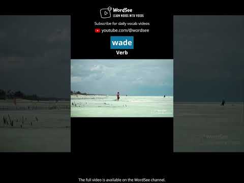 Learn the word wade in one minute - Improve your English vocabulary with real world examples.