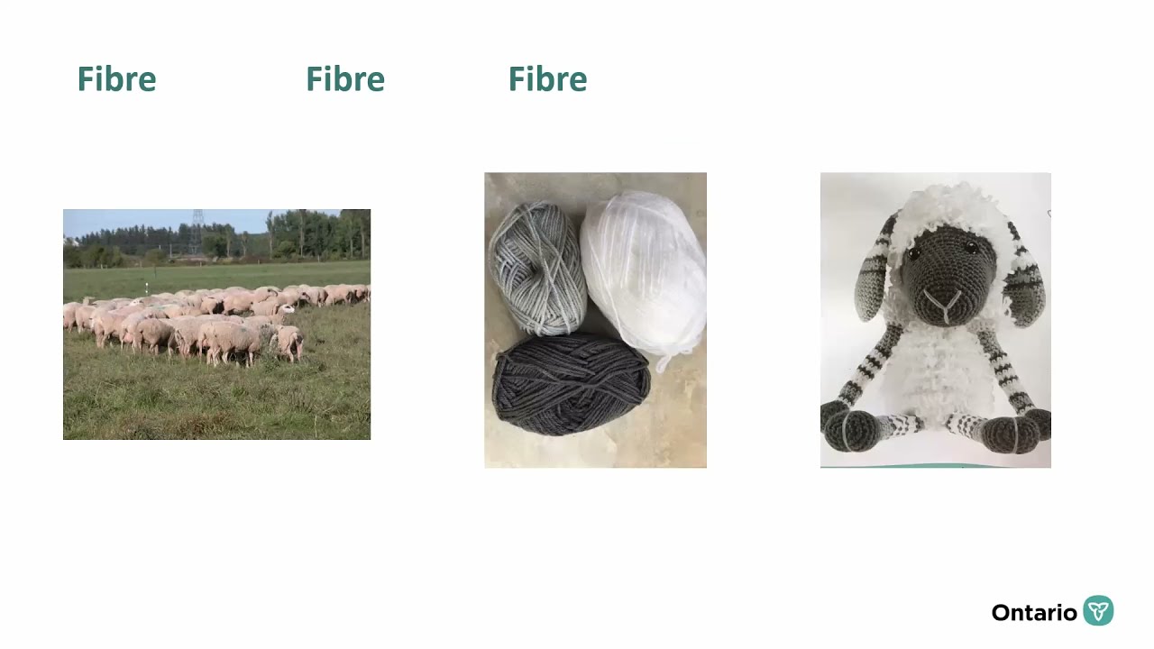 Understanding Your Feed Analysis - Forage Focus 2021