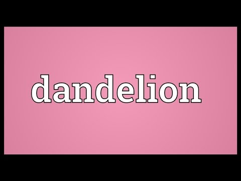 Dandelion Meaning