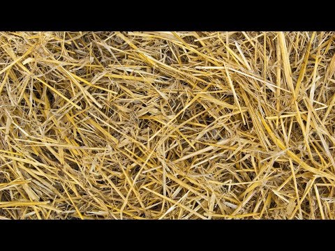 American Sign Language ASL Video Dictionary - straw