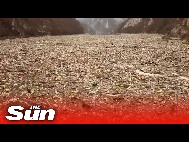 Pollution of the Lim River, Serbia: Causes, Initiative, Actions
