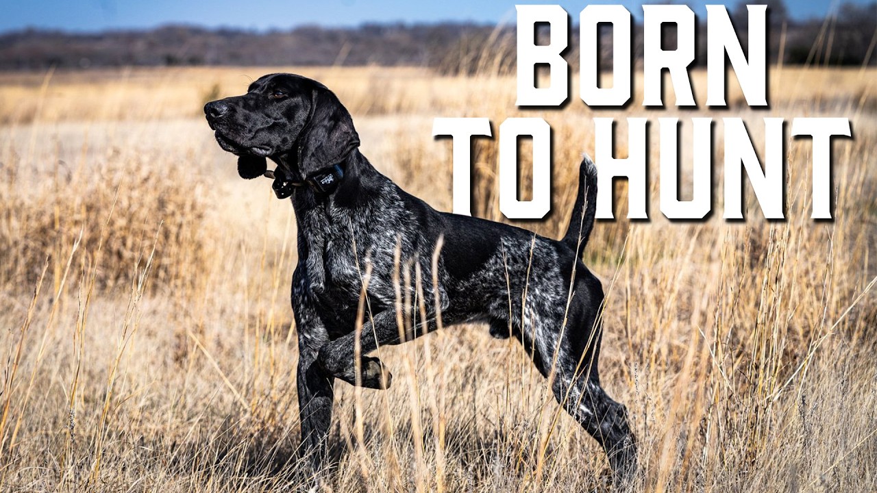 142: You’ve Never Seen a GSP Like This