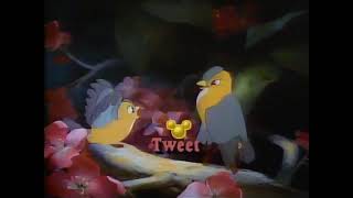 Daniel Celano Sing Along Songs Watch HD Mp4 Video Download Free