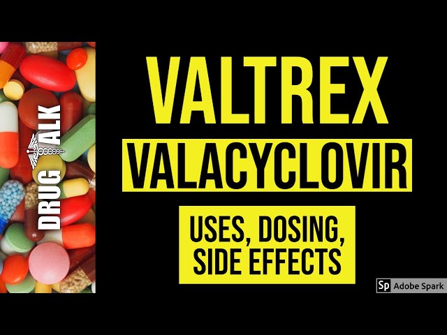 Antiviral Drugs - Valtrex Valacyclovir 500 Mg Tablets Exporter from Nagpur