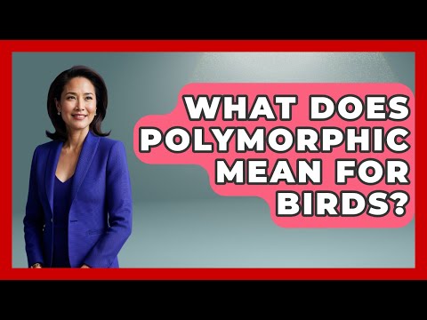 What Does Polymorphic Mean For Birds? - Bird Watching Diaries