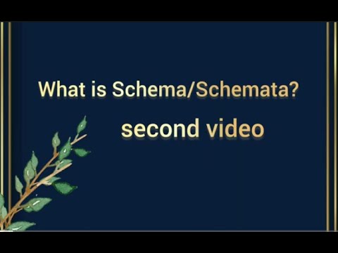 Schema or Schemata in Comprehension #literatureandsyntax #@literatureandsyntax