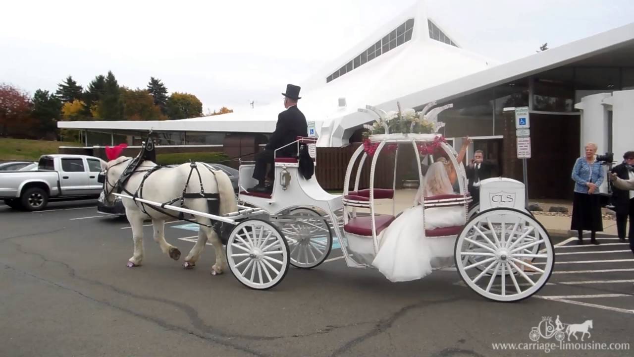 Hire Carriage Limousine Service - Horse Drawn Carriages - Horse Drawn ...