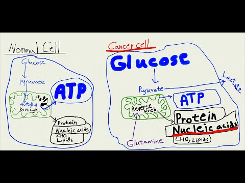 What is THE cause of cancer?