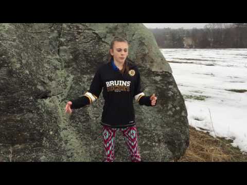 What is an Erratic?