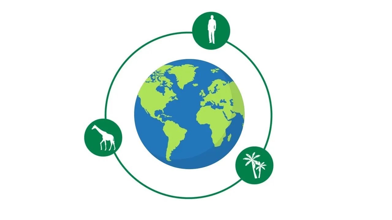 What is the One Health approach?