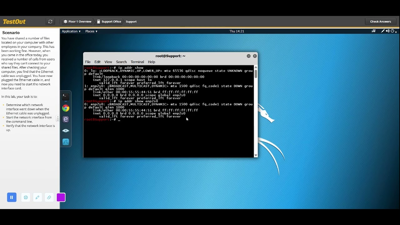 TestOut PC Pro 11.8.10 Use the Linux ip Command