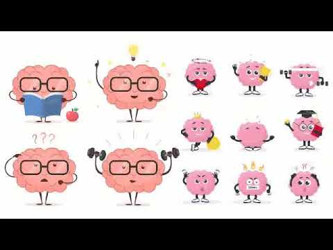 English what is cp 360p zp198467