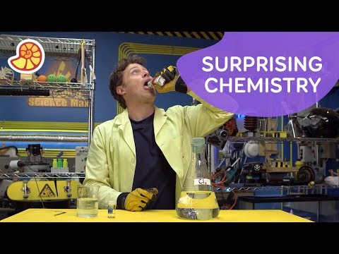 ☠️ Sodium + Chlorine = ??? ☠️ | Science Max