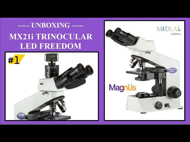 Microscope - Binocular Research labomed Microscope Trader - Wholesaler ...