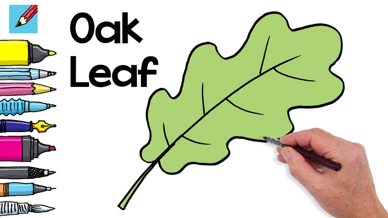 How to Draw an Oak Leaf Real Easy