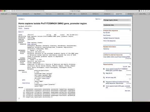 Features of GenBank File: LOCUS