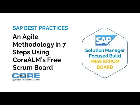 AGILE SAP IN 7 STEPS