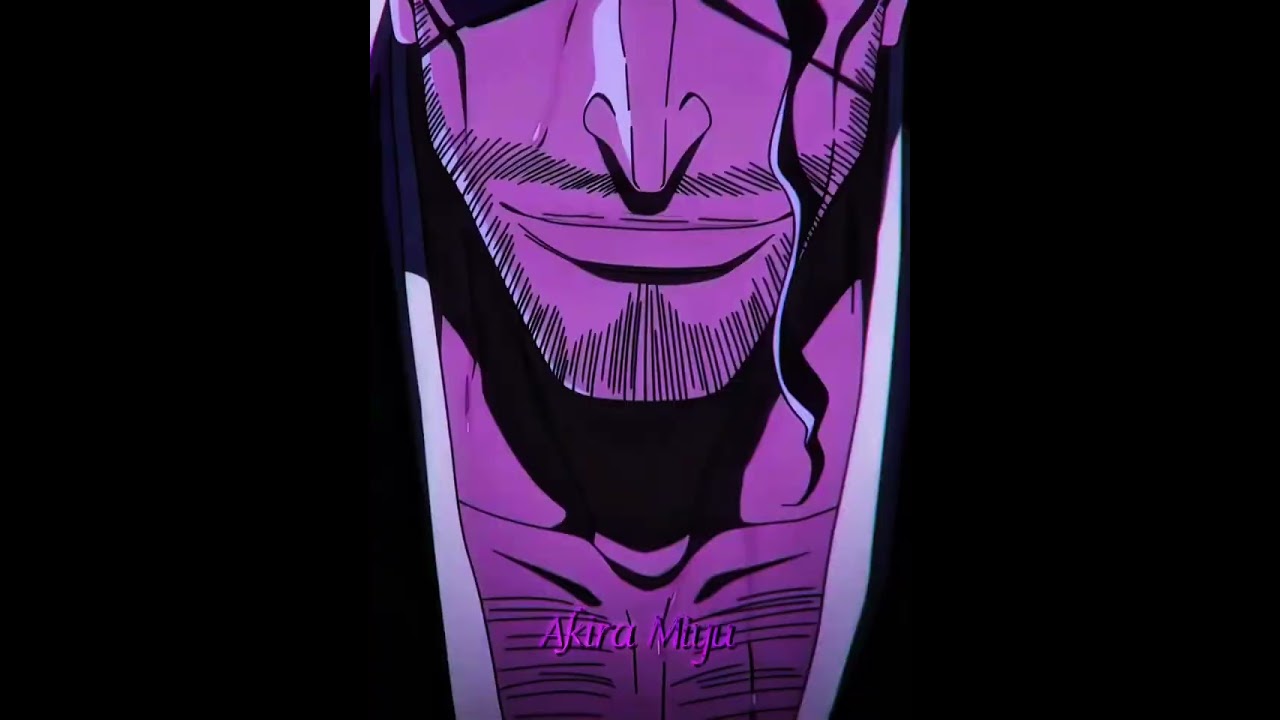 Kyoraku Shunsui Bankai Edit 4k #kyoraku #kyorakushunsui #shunsuikyoraku #bleach #bleachedit #edi4k