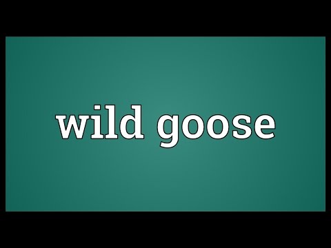 Wild goose Meaning