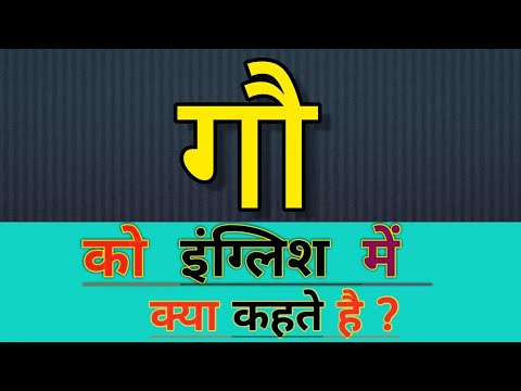 Gau ko english mein kya kahate hain l गौ को इंग्लिश में क्या कहते हैं | english meaning