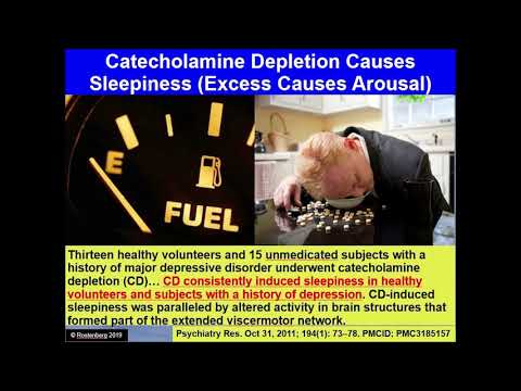 The Root Cause of Insomnia and Sleep Issues - Is It High or Low Dopamine?