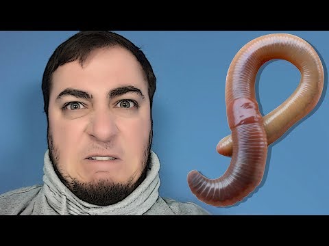 Telefon Kırdıran Mobil Oyun! SOLUCAN KOŞUSU