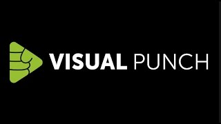 Visual Punch Reviews and Clients | DesignRush