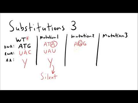 Homework Helper: Substitution Mutations