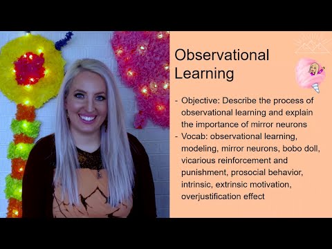 Observational Learning