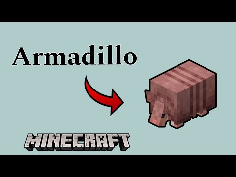 How To Breed Armadillo In Minecraft