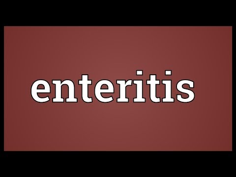 Enteritis Meaning