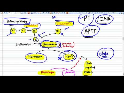 What is Prothrombin Test ? What is INR Ratio? What is aPTT?