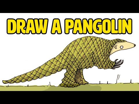 How to draw a Pangolin – Shoo Rayner