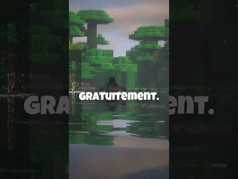 COMMENT TROUVER UN SERVEUR GRATUIT SUR MINECRAFT ?