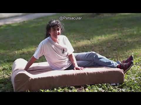 Barker Beds Headrest Giant Dog Bed Review: Orthopedic Comfort & Durability Tested