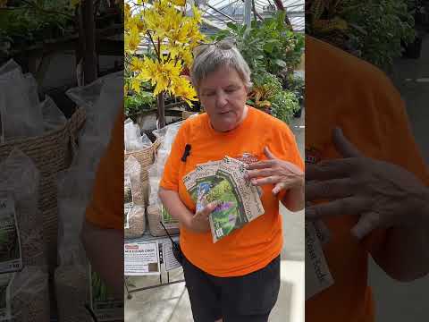 Why Use Cover Crops?