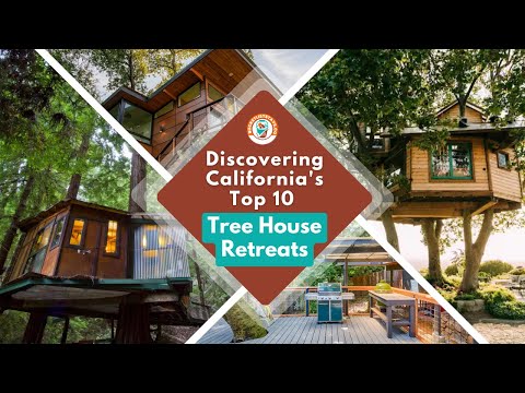 Discovering California's Top 10 Tree House Retreats: A Journey Through Iconic Nature Escapes