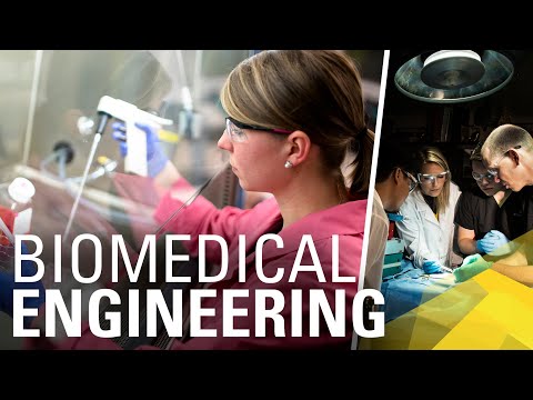 Graduate – Biomedical Engineering at the University of Michigan