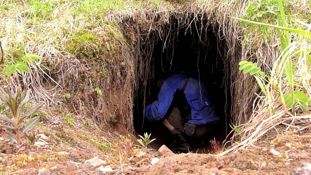 Exploring a Bear Den