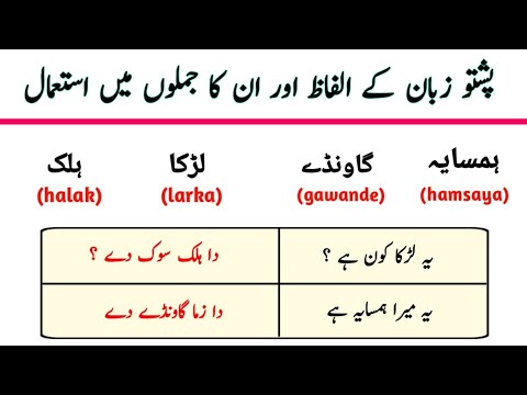 Expand Your Vocabulary 🌟 | Pashto Words with Urdu Translation 📝