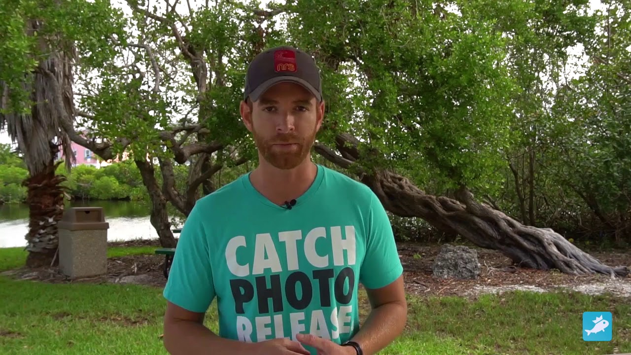 Safety tips: How to stay safe while fishing from a kayak