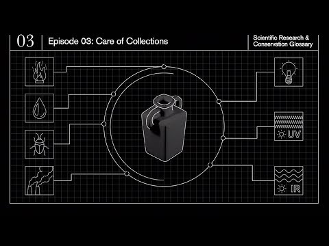 Care of Collection: Glossary of terms