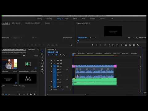 How to Add Voiceover in Adobe Premiere