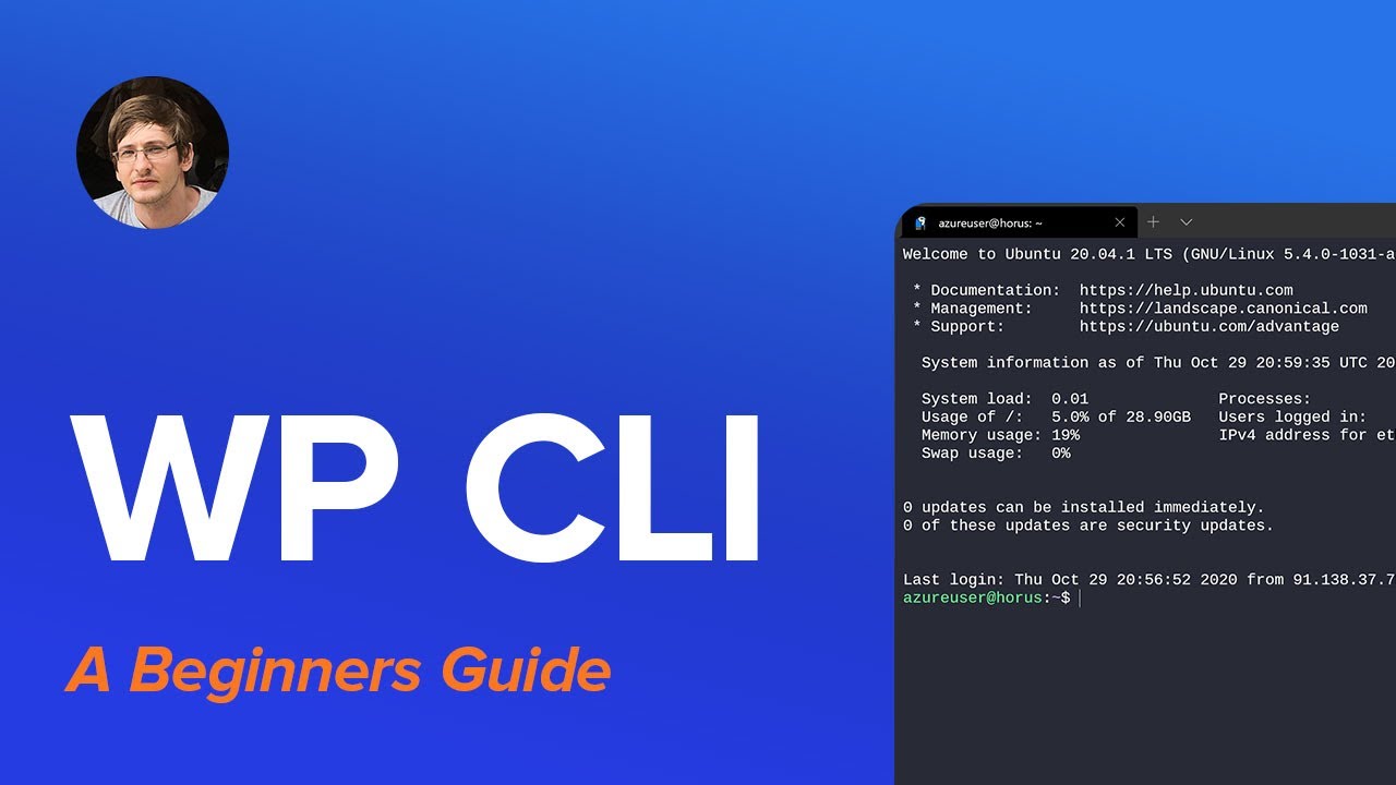 How to use use WP CLI on your WordPress site - A Beginner's Guide