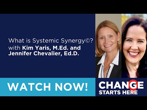 What is Systemic Synergy?