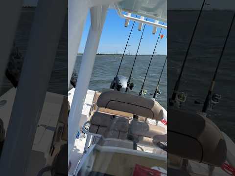 Reality of fishing in Charleston, SC