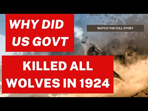 Did You Know ? What happened to USA in 1924 ? Trophic Cascade