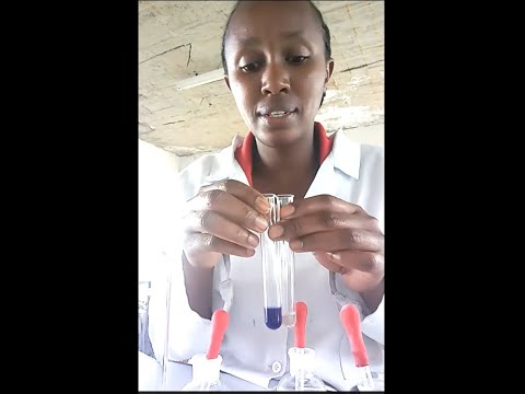Test for Ascorbic Acid (Vitamin C) Form 1-Prac2