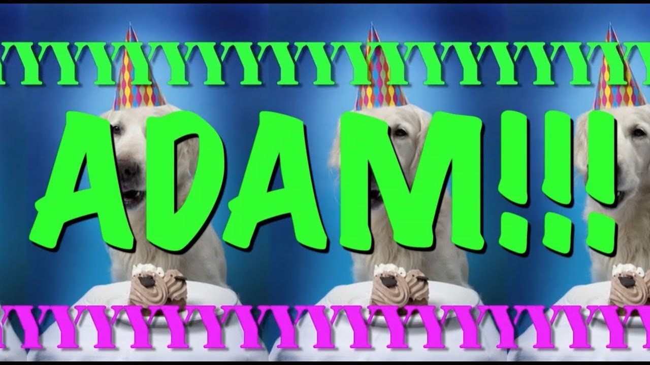 HAPPY BIRTHDAY ADAM! - EPIC Happy Birthday Song